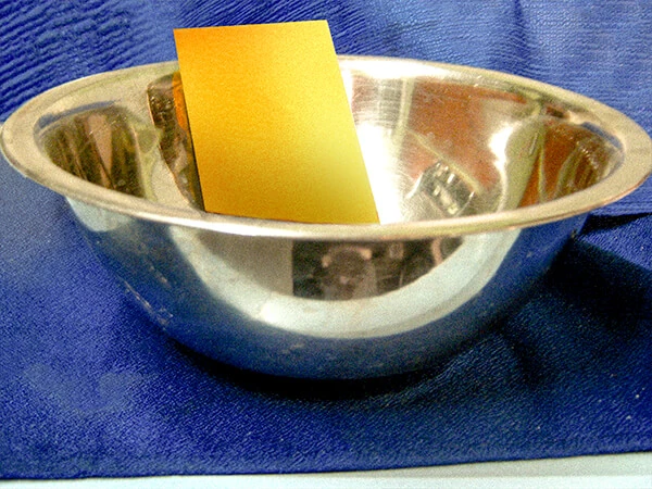 SCP-4378 | Noodle Nexus Wiki | Fandom