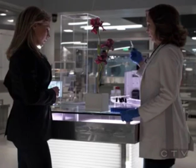 Trilsettum coronis | No Ordinary Family Wiki | Fandom