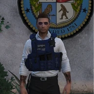 San Andreas State Marshals | NoPixel Wiki | Fandom