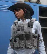 San Andreas State Marshals | NoPixel Wiki | Fandom