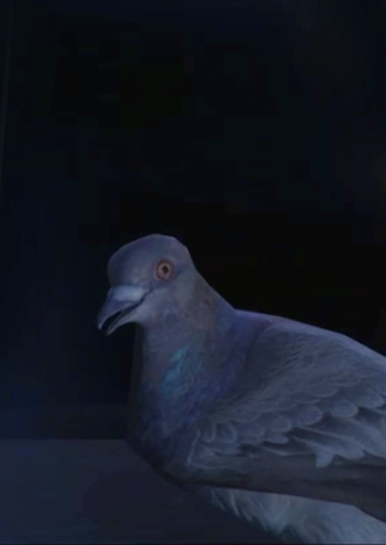 Birb/3.0 | NoPixel Wiki | Fandom