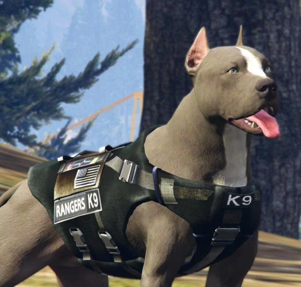 Gta 5 Pitbull