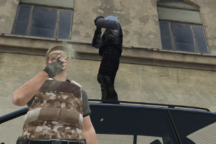 Lenny Hawk | NoPixel community | Fandom