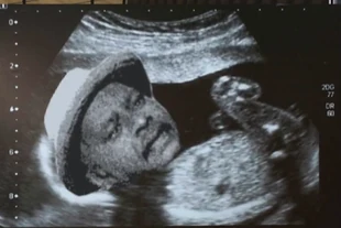 Fingle Dan | NoPixel Wiki | Fandom