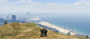 Rose Rhodes/3.0 | NoPixel Wiki | Fandom