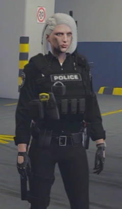 Luna Park/3.0 | NoPixel Wiki | Fandom