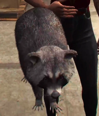 Scraps | NoPixel Wiki | Fandom