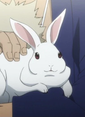 Inaba | Noragami Wiki | Fandom