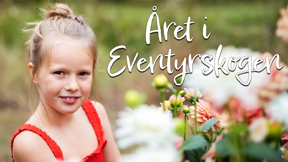 Året i Eventyrskogen (TV-serie) | Norske Dubber Wiki | Fandom