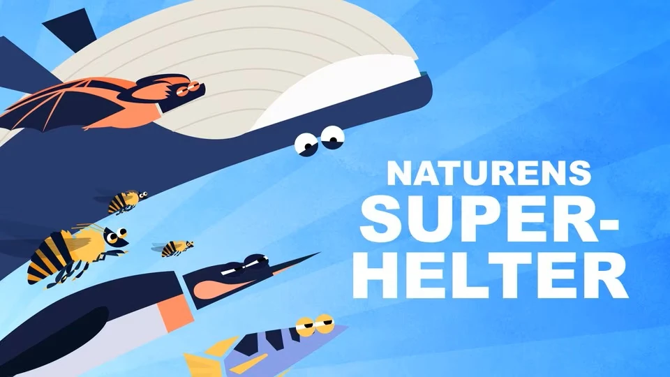 Superhelter