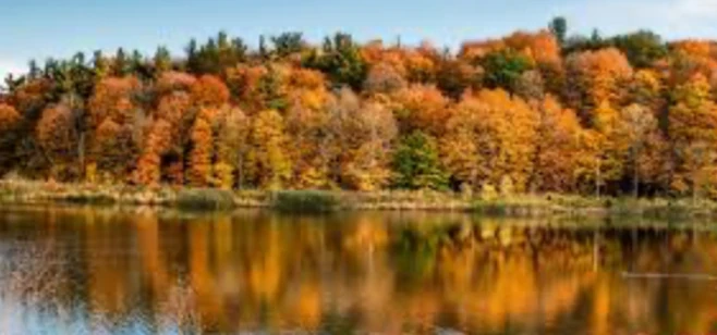 Anson County | North Carolina Wiki | Fandom