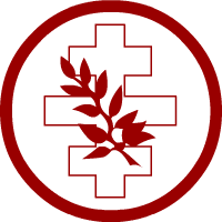 Knights of the Red Branch | North of Normal (Shadowrun: Fargo) Wiki ...