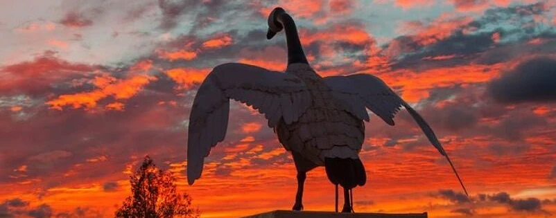 Thunder Goose | North of Normal (Shadowrun: Fargo) Wiki | Fandom