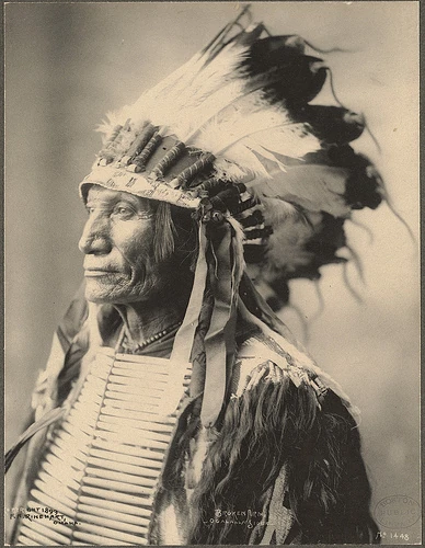 Sioux Indians | North American Indians Wiki | Fandom