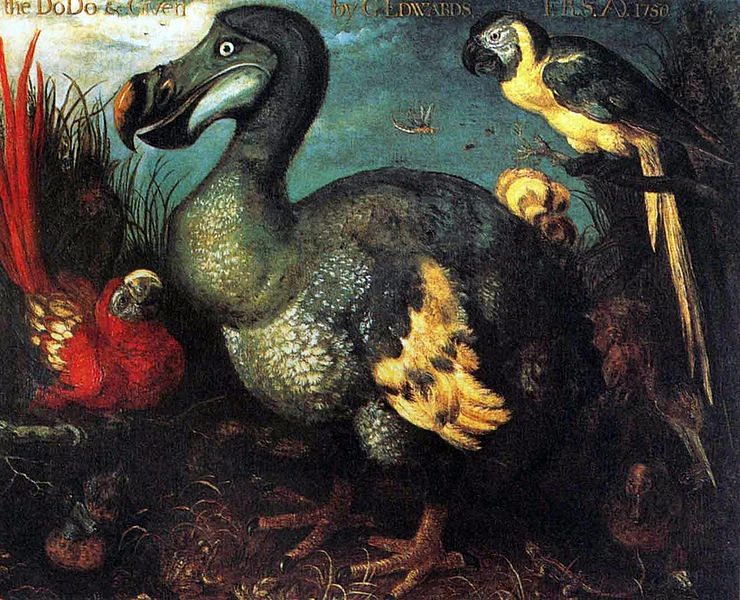 Extinction | North American Wildlife Wiki | Fandom