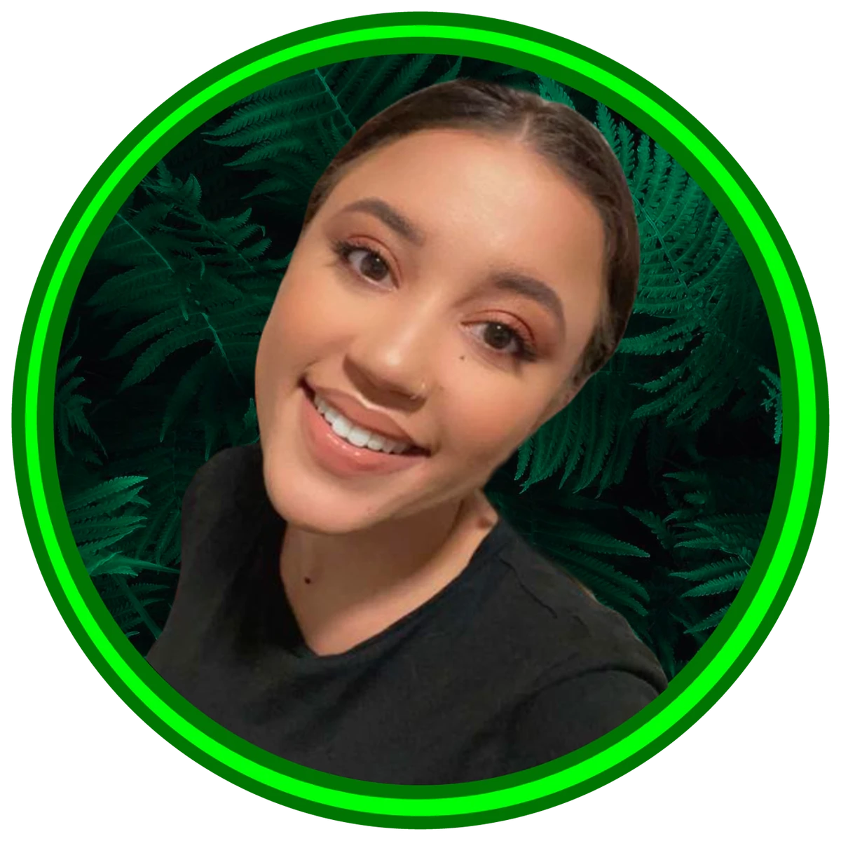 Bear | Northern Lights Network Wiki | Fandom