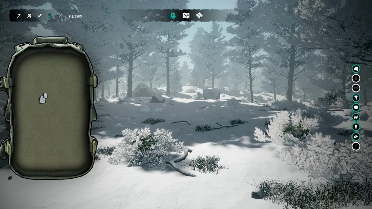 Lighter | NorthernLights Wiki | Fandom