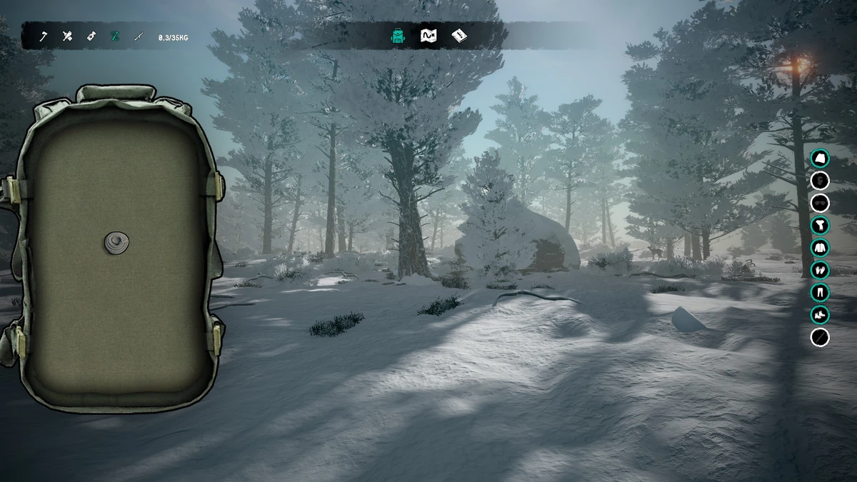 Rope | NorthernLights Wiki | Fandom