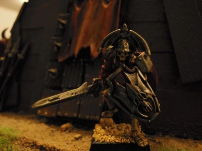 Volantis Haggerhelm | Wiki Northeros | Fandom