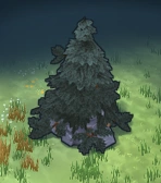 Forest | Northgard Wiki | Fandom
