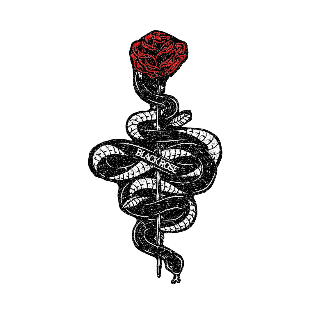 Black Rose | North Wiki | Fandom