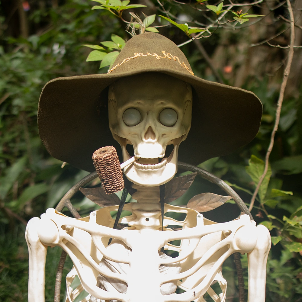 Bob Skeleton | Northudankton Wiki | Fandom