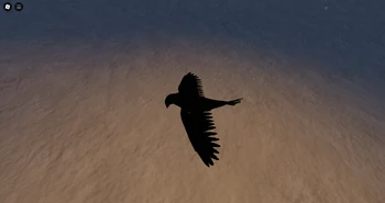 Hawk | Northwind Wiki | Fandom