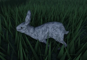 Rabbit | Northwind Wiki | Fandom