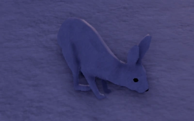 Rabbit | Northwind Wiki | Fandom