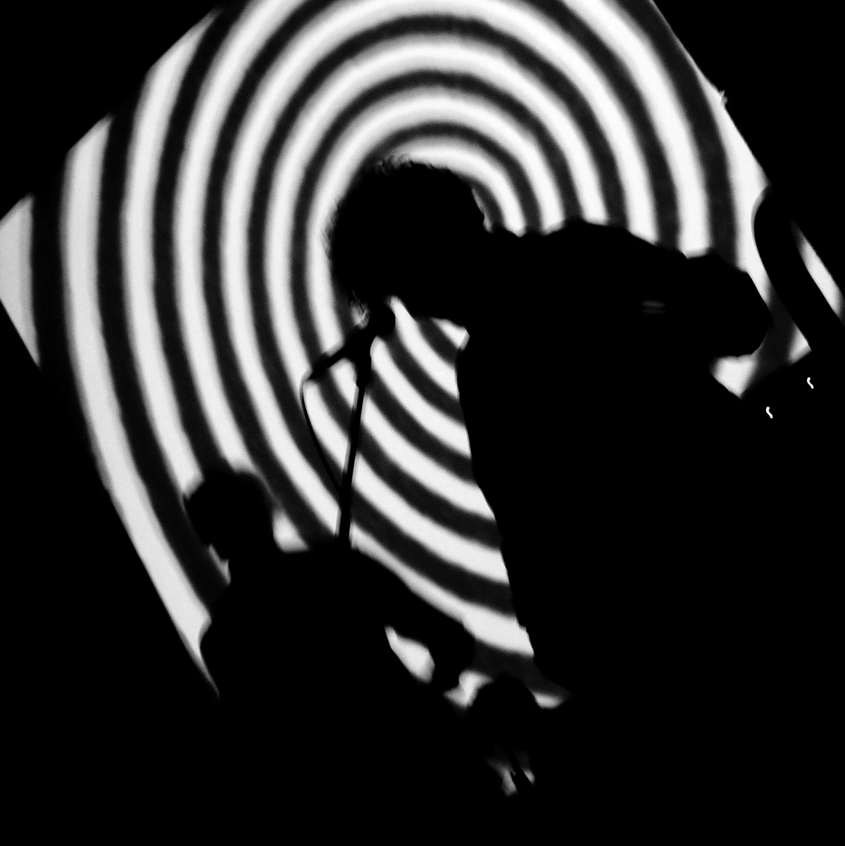 White Rose Movement | Norwich Music Wiki | Fandom