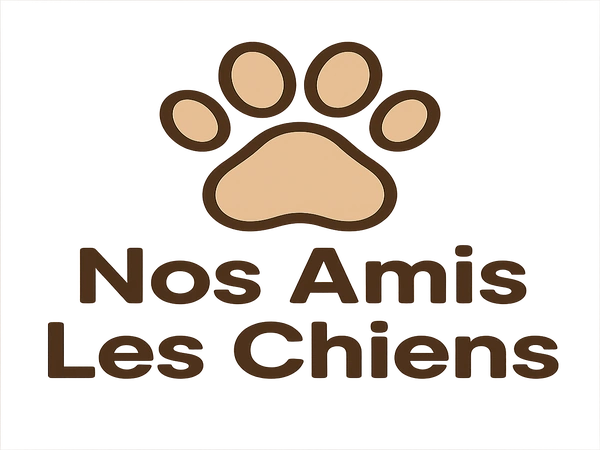 La stimulation mentale : activités et apprentissages pour un chien épanoui | Wiki Nos Amis Les ...