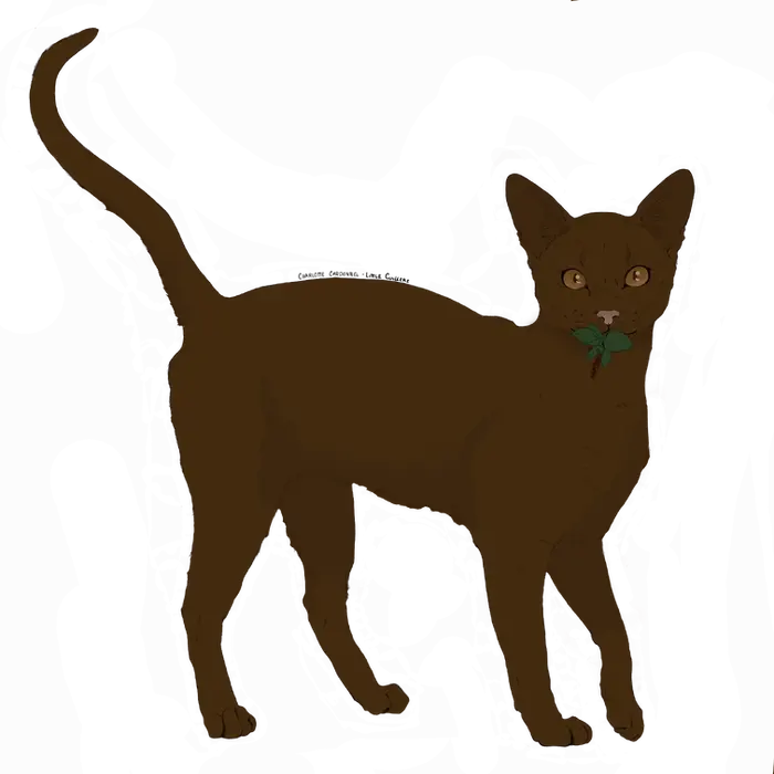 Feuille Douce (lvdd) | Wiki Nos Personnages | Fandom