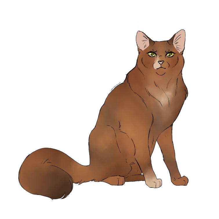 Matin Sauvage (lvdd) | Wiki Nos Personnages | Fandom
