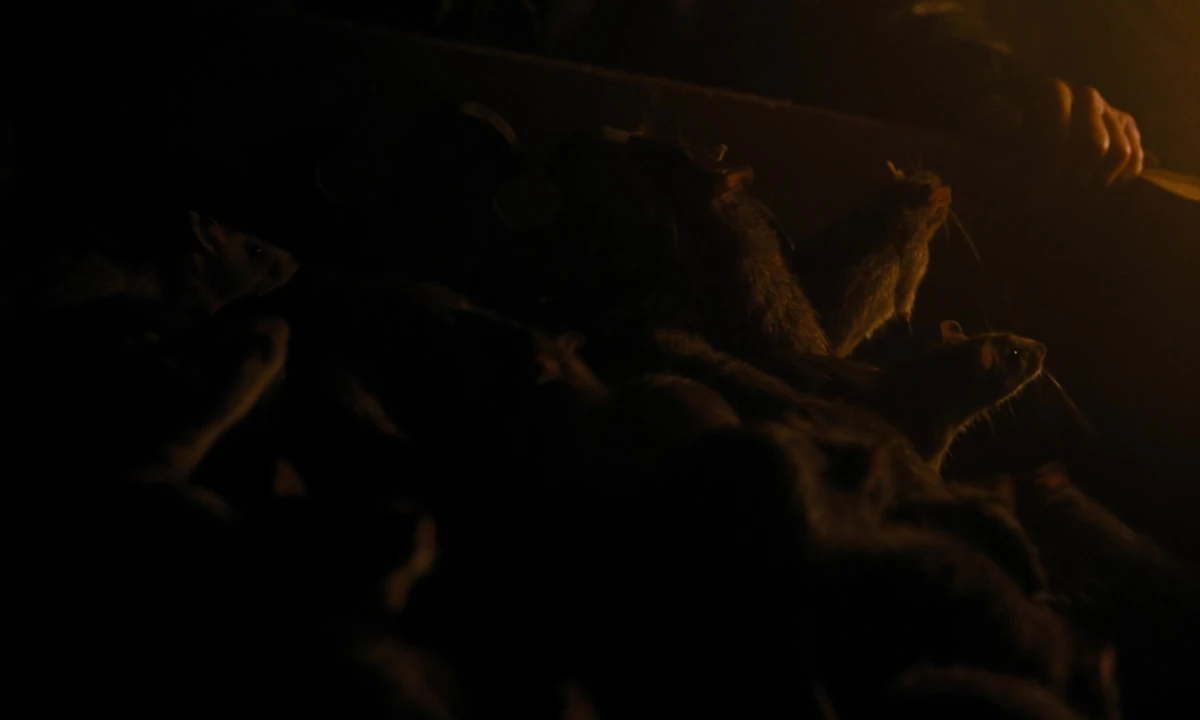 Rats | Nosferatu Wiki | Fandom