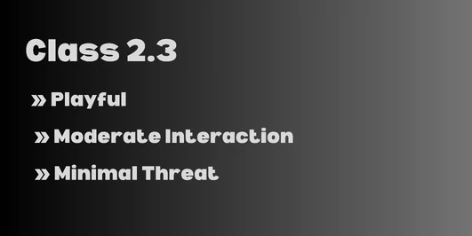 All Classes Difficulties | The Mazerooms Wiki | Fandom