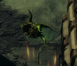 Cocoon | Night of the Dead Wiki | Fandom