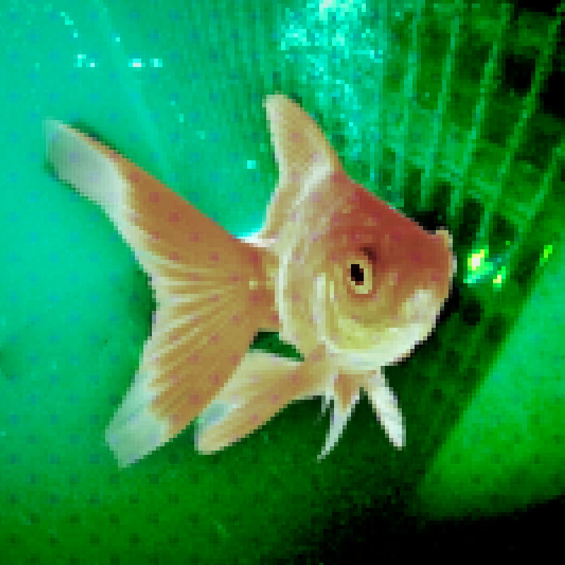 The Fish Joke | Nothing, Forever Wiki | Fandom