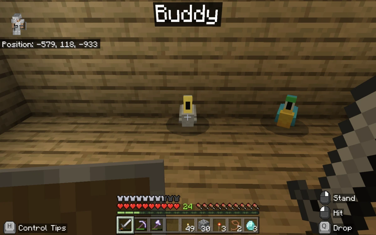 Buddy The Parrot | Notmrpancake's Minecraft Survival World Wiki | Fandom