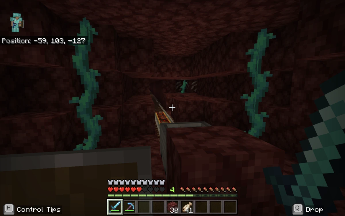 The Cart Ride (Nether) | Notmrpancake's Minecraft Survival World Wiki ...