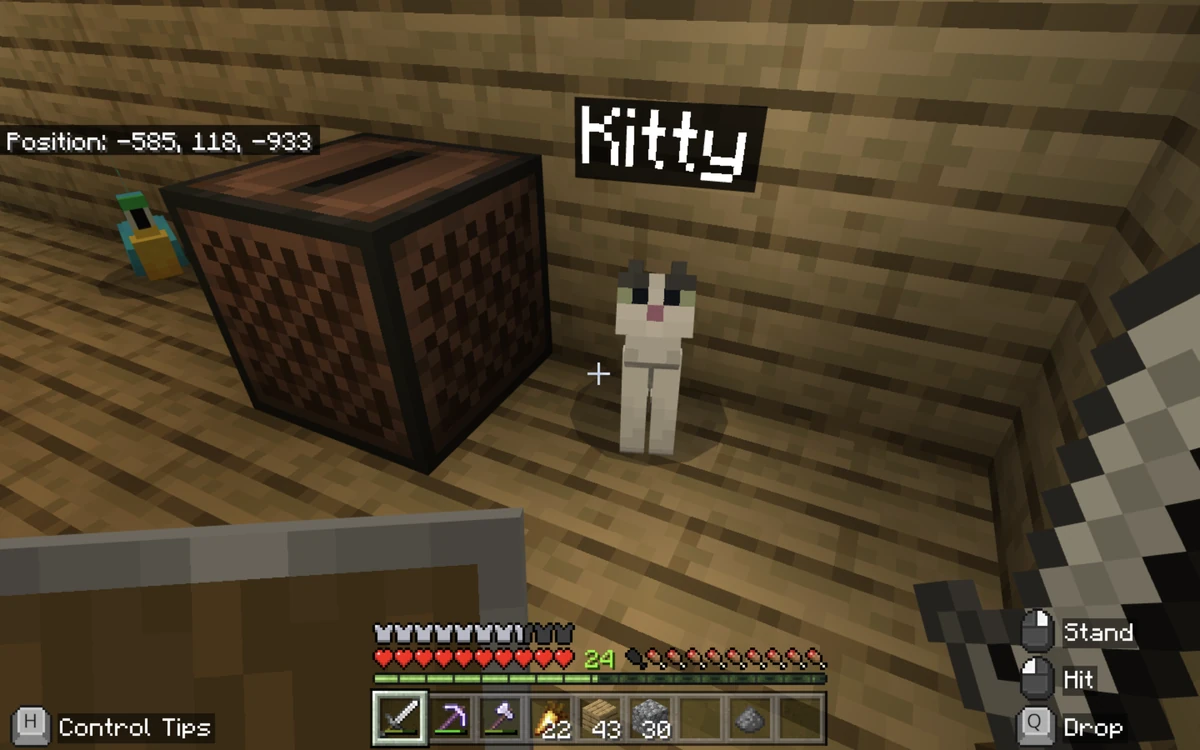 Kitty The Cat | Notmrpancake's Minecraft Survival World Wiki | Fandom