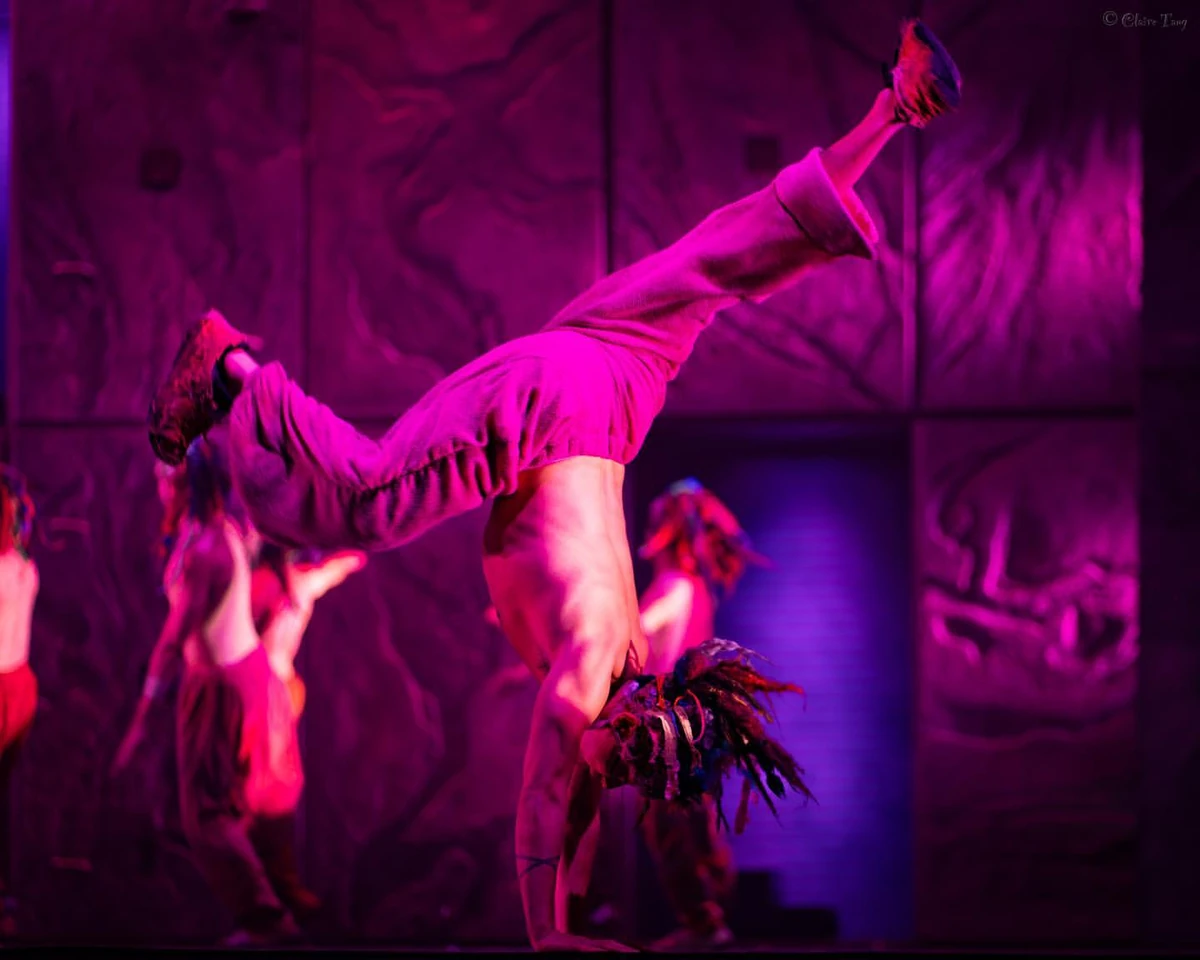 Tiger/Gallery | Notre-Dame de Paris Wiki | Fandom