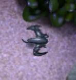 Blue alien | Notrium Wiki | Fandom