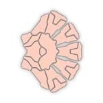 Wiki Nova Drift | Fandom