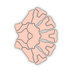 Nova Drift Wiki | Fandom