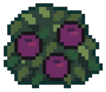 Berry Bush | Nova Lands Wiki | Fandom