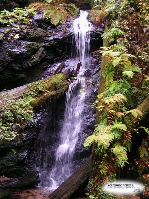 Sun of Zartha/4 | Novelas | Fandom