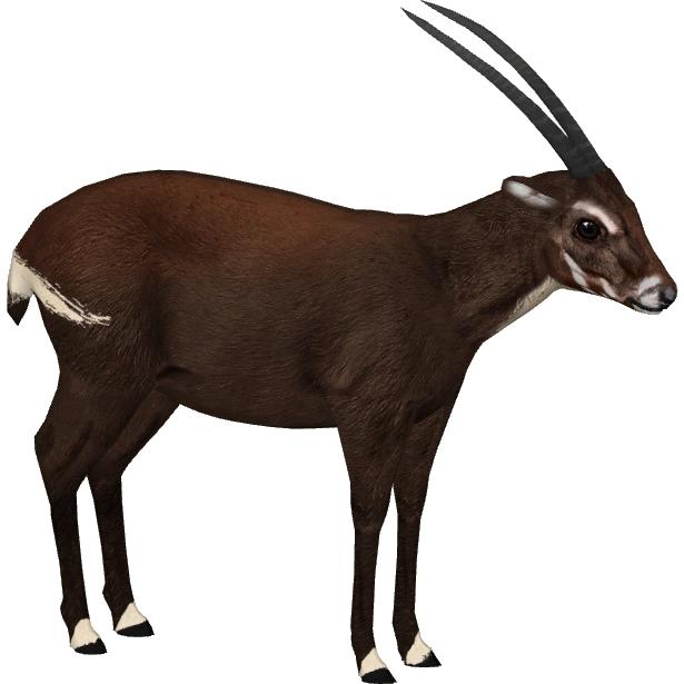 Domestic saola | Novum Terram Wiki | Fandom