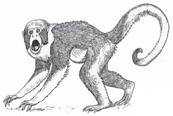 If the Pleistocene Extinction never happened (South America) | Novum ...