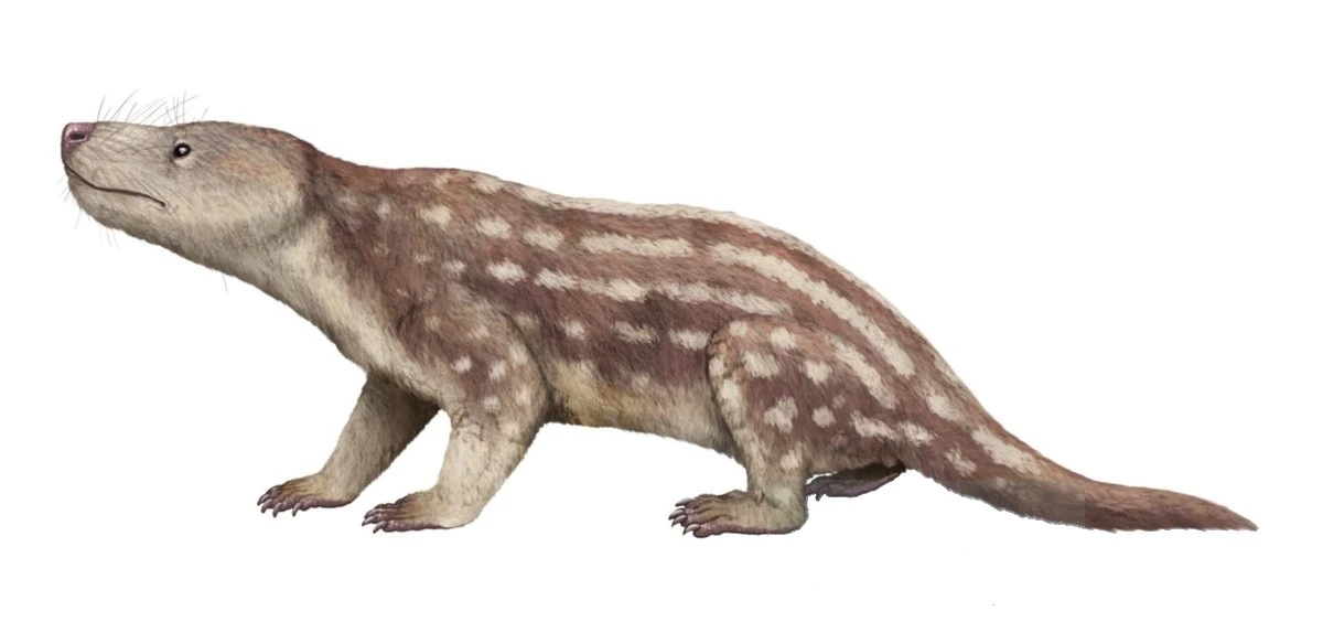 Thrinaxodon (SciiFii) | Novum Terram Wiki | Fandom