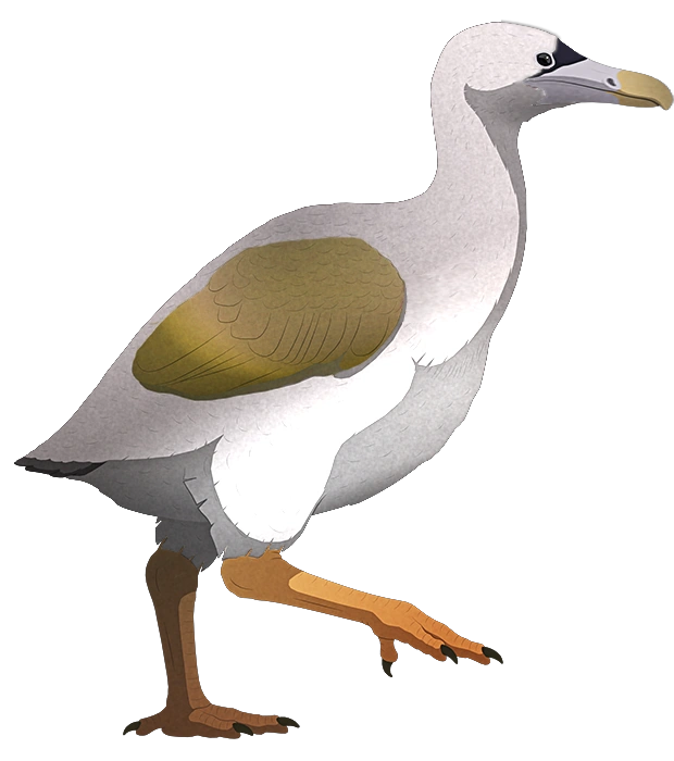 Réunion solitaire (SciiFii) | Novum Terram Wiki | Fandom